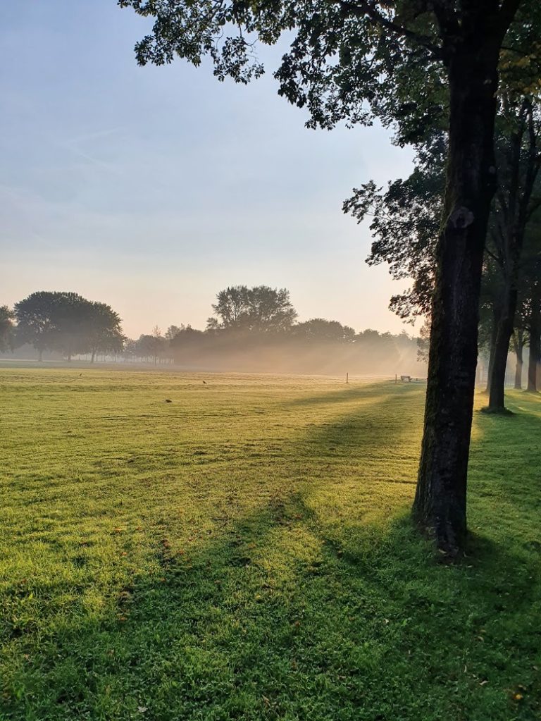 7 tips om mooie, speelse natuurfoto's te maken - GroenGezin